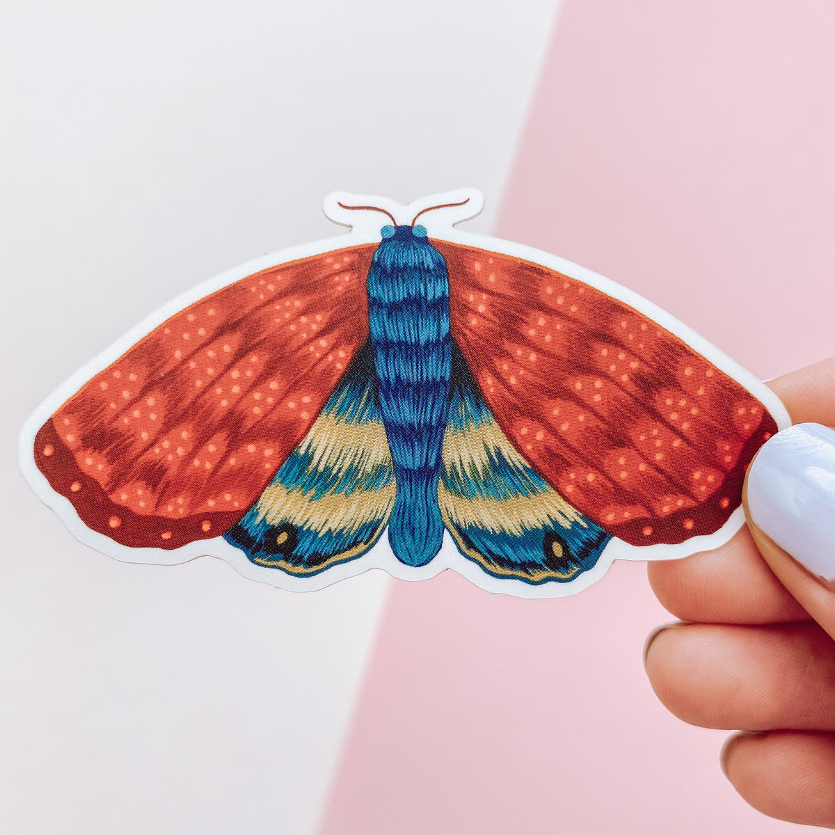 Botanical Moth - Vinyl Sticker – Mira Byler, LLC